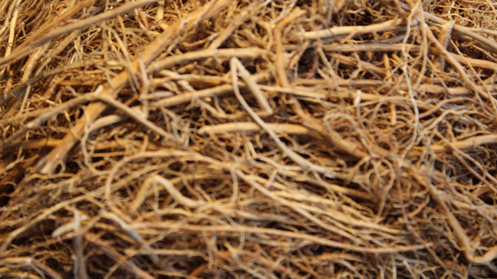 Vetiver Root – Tame the Spirit