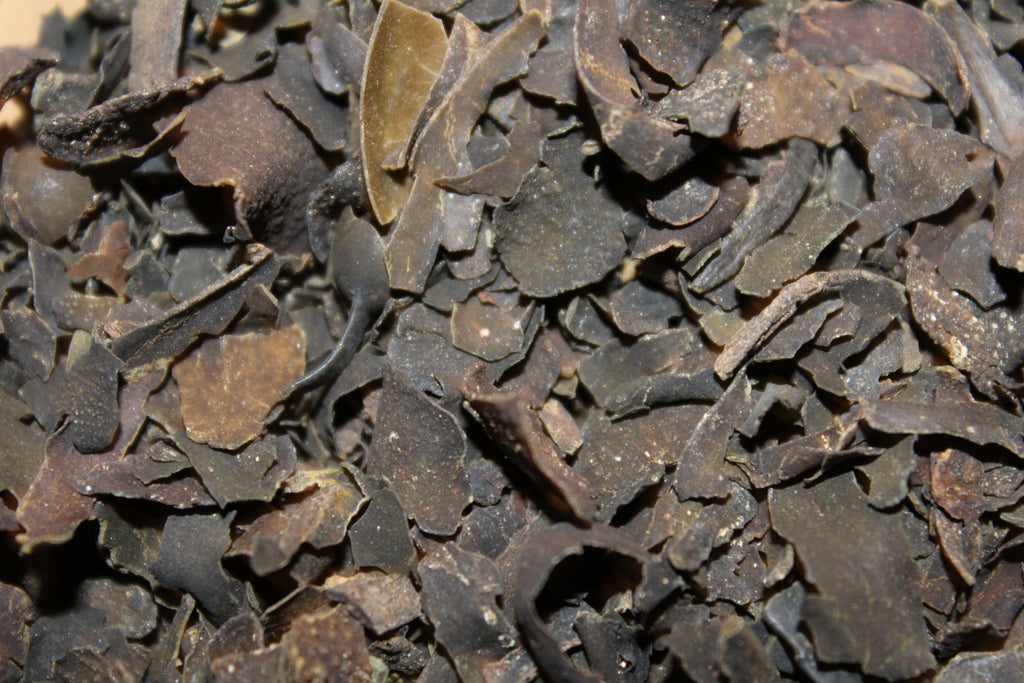 Bladderwrack, Natural Seaweed – Tame the Spirit