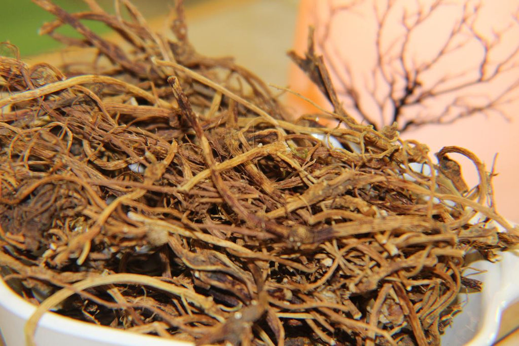 Mandrake Root, Wild Harvest from Appalachian Mountains – Tame the Spirit