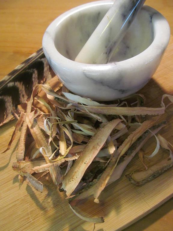 Witch Hazel Bark Powder - Wild Harvested in the Appalachian Mountains ...