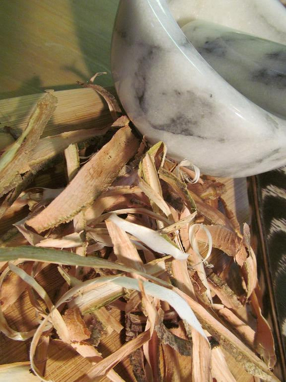 Witch Hazel Bark Powder - Wild Harvested in the Appalachian Mountains ...